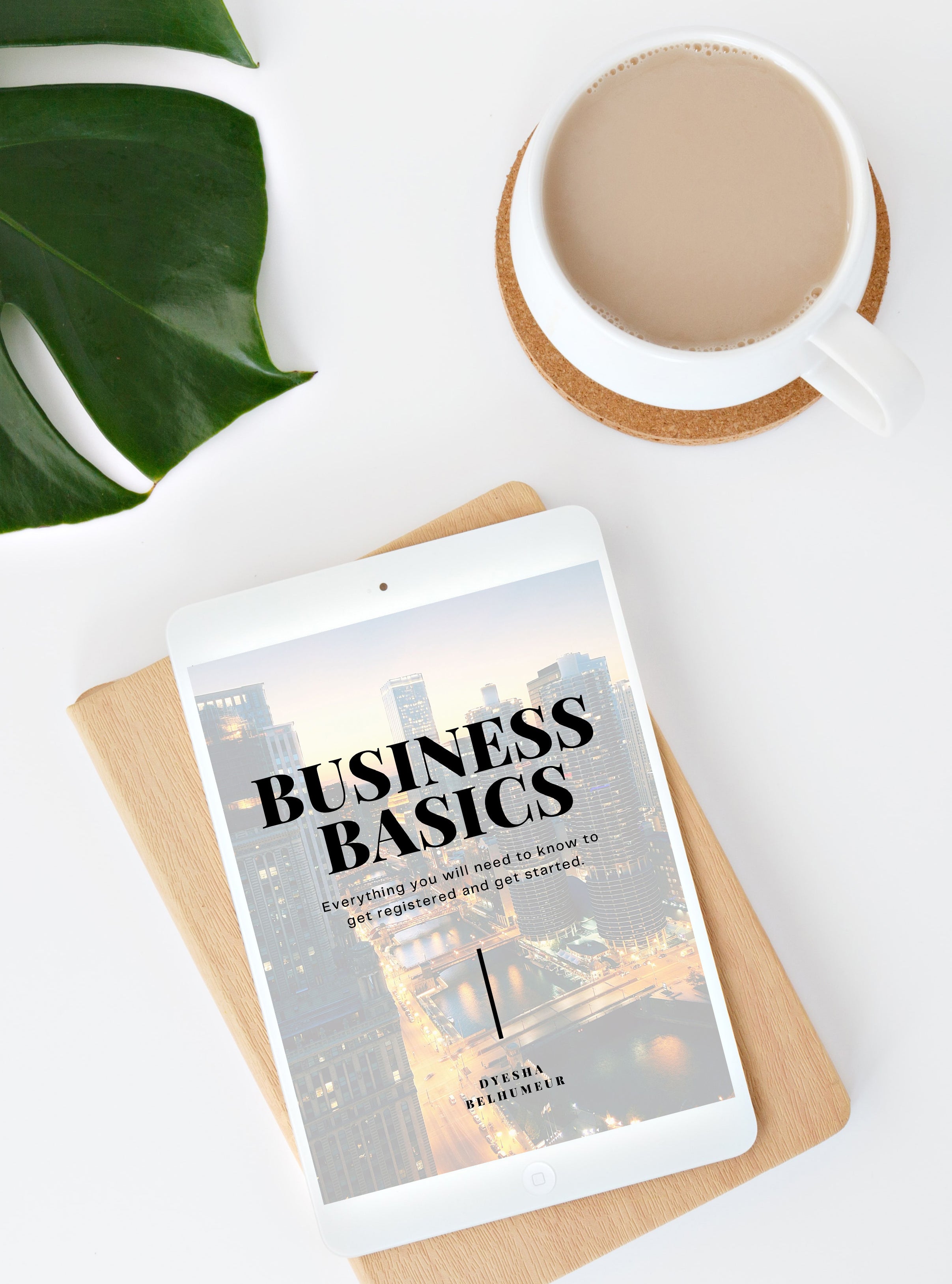 Business Basics E-Book – Seattle Professional Accounting Services
